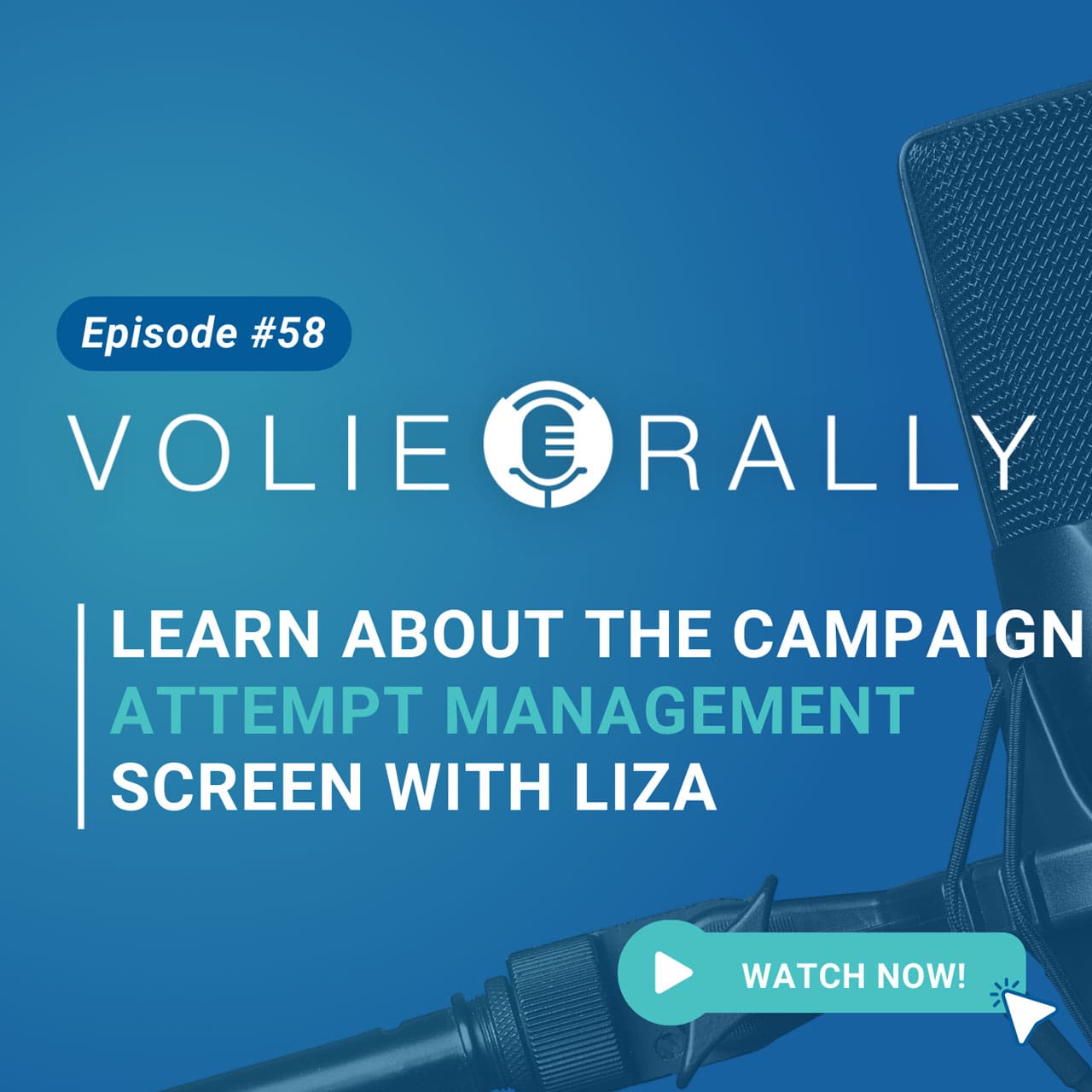 Learn about the Campaign Attempt Management Screen with Liza - Volie